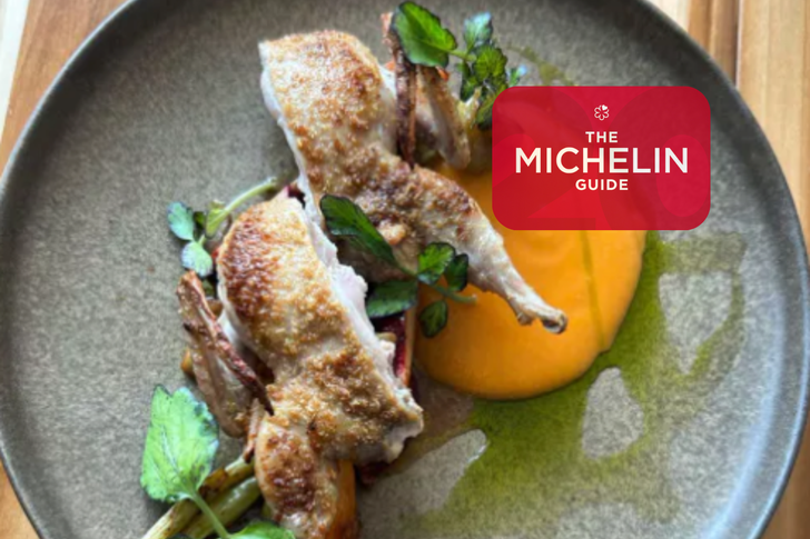 Michelin Star Restaurant Gift Cards: A Culinary Journey | Giftory